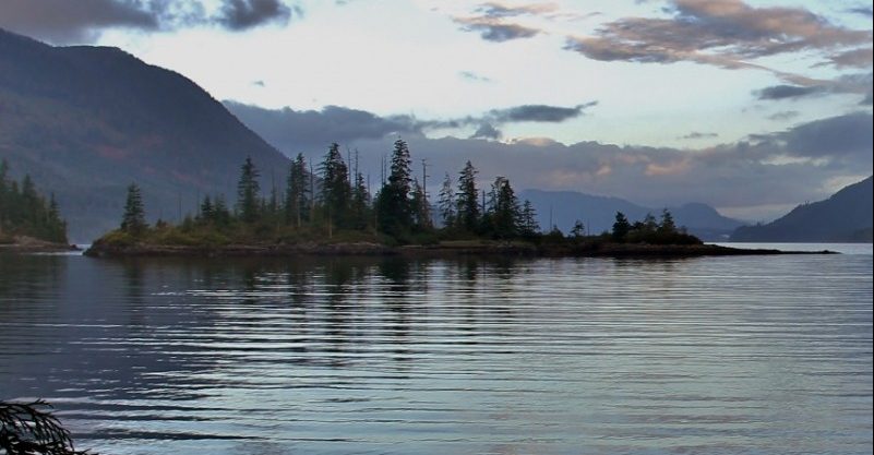 Port Alice News & Updates | The Village of Port Alice, Vancouver Island